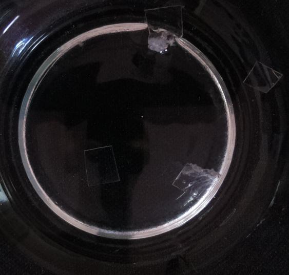 Microplastic Valid Object Detection Dataset By Shake