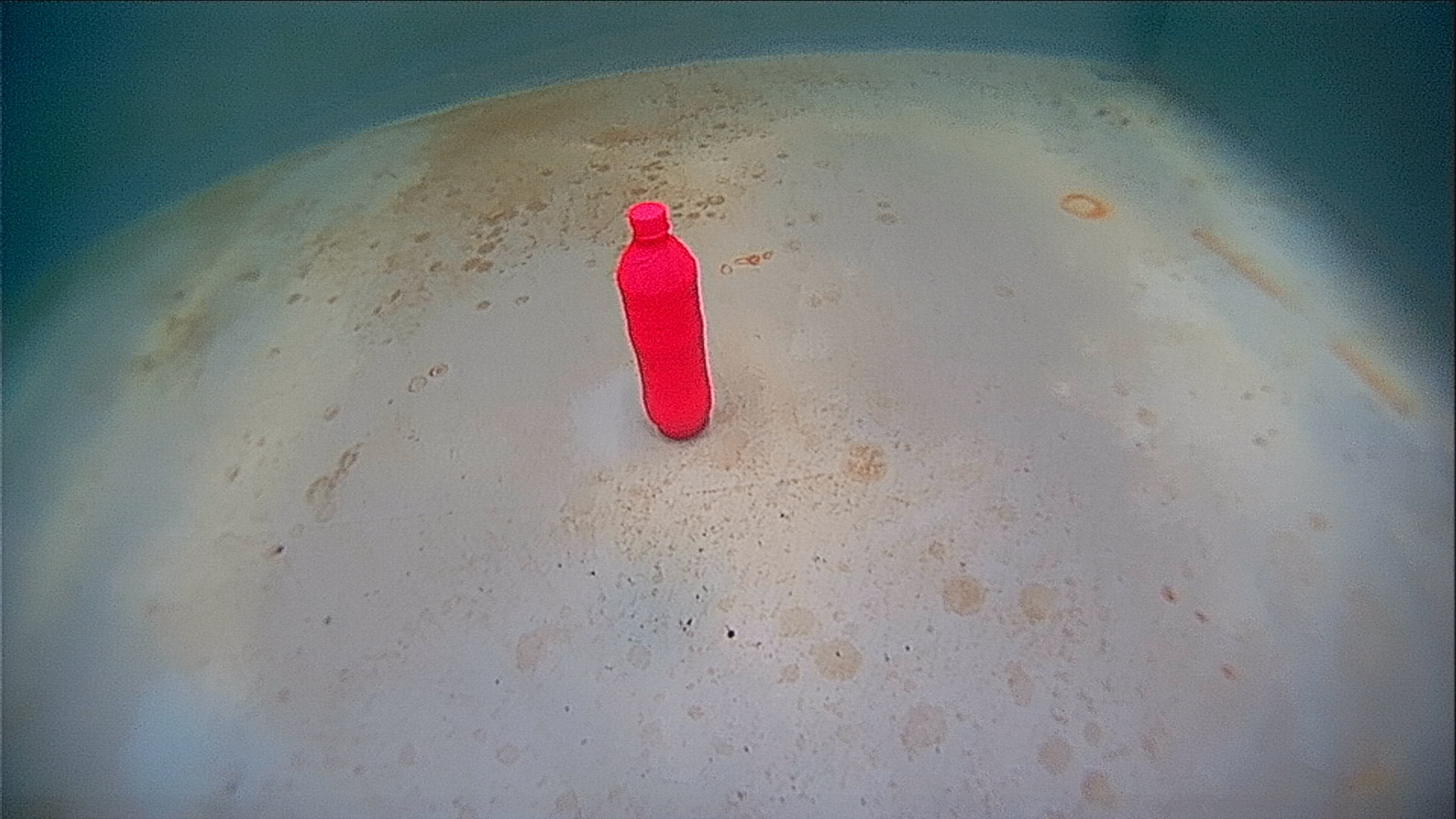 abc Instance Segmentation Dataset and Pre-Trained Model by National Cheng Kung University