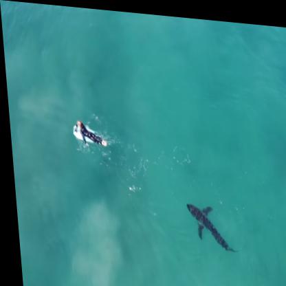 Old fins Object Detection Dataset by Oceanhazarddetection