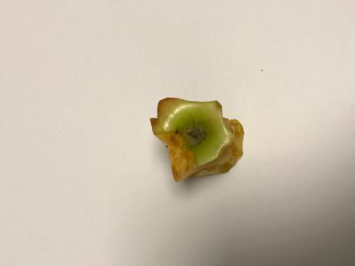 Waste Detection Object Detection Dataset by Debjoti Jana