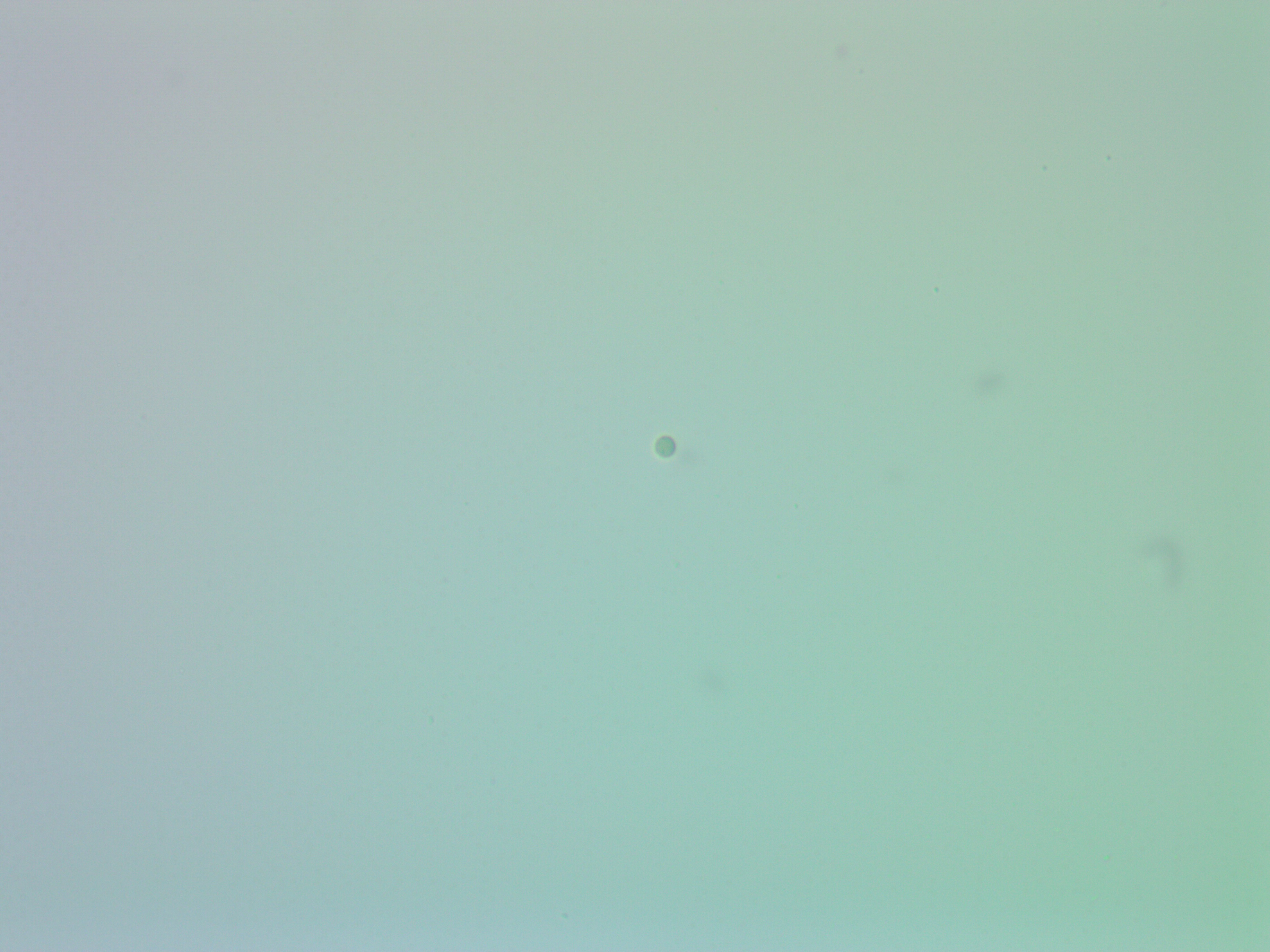 proje Object Detection Dataset by Firat University