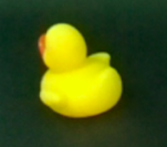 DeteccionDuckies Object Detection Dataset by duckies