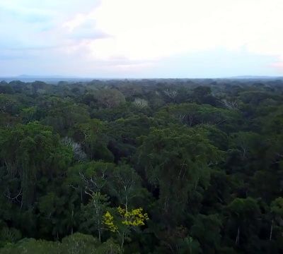 Forest Fire Detection Object Detection Model (v5, 2025-05-17 3:19pm) by ...