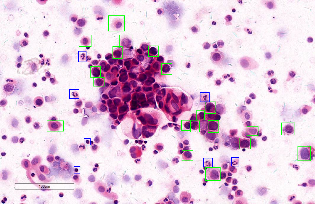 Chess Sample Computer Vision Dataset by new-workspace-lpwt6
