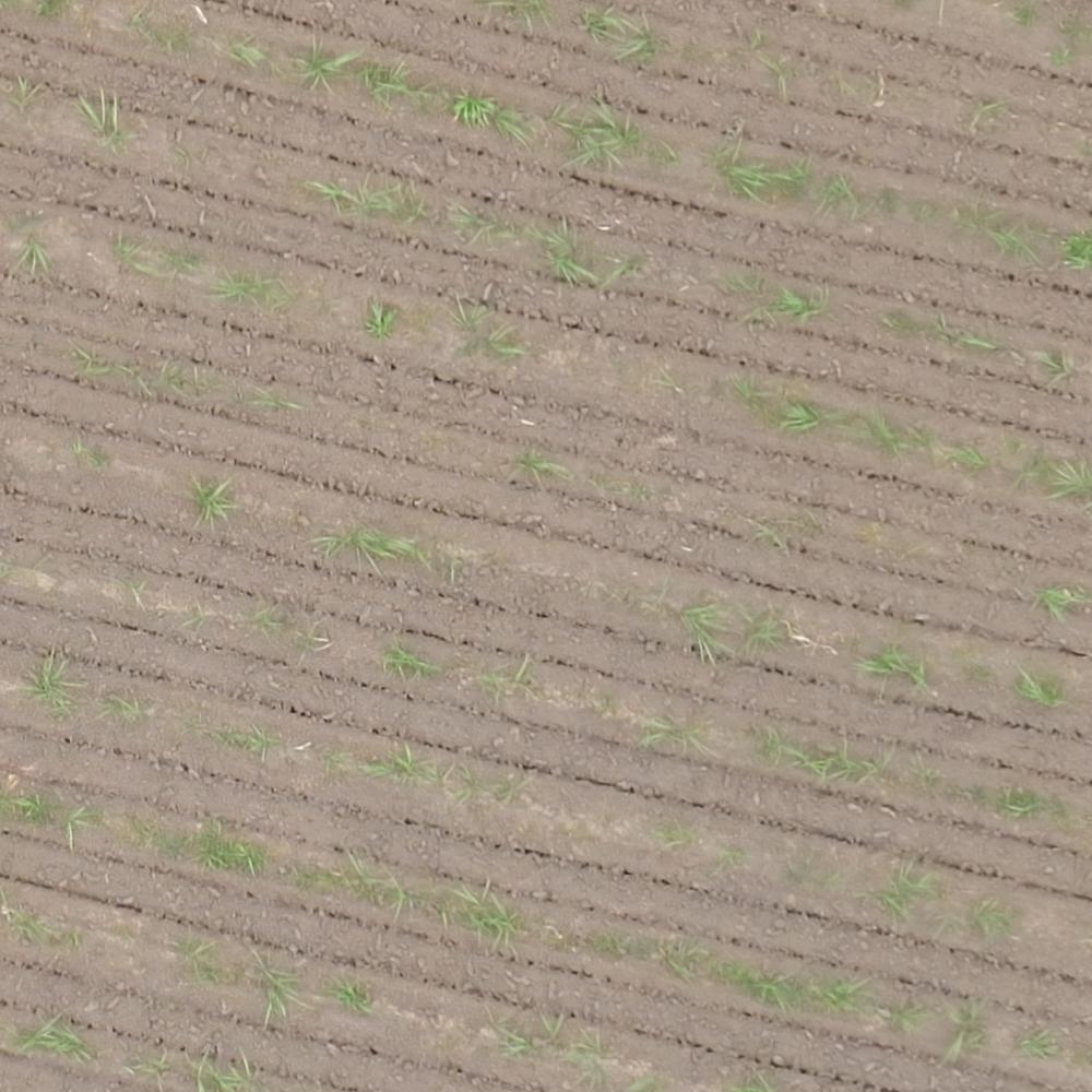 Plants Object Detection Dataset And Pre Trained Model By Sugarcane