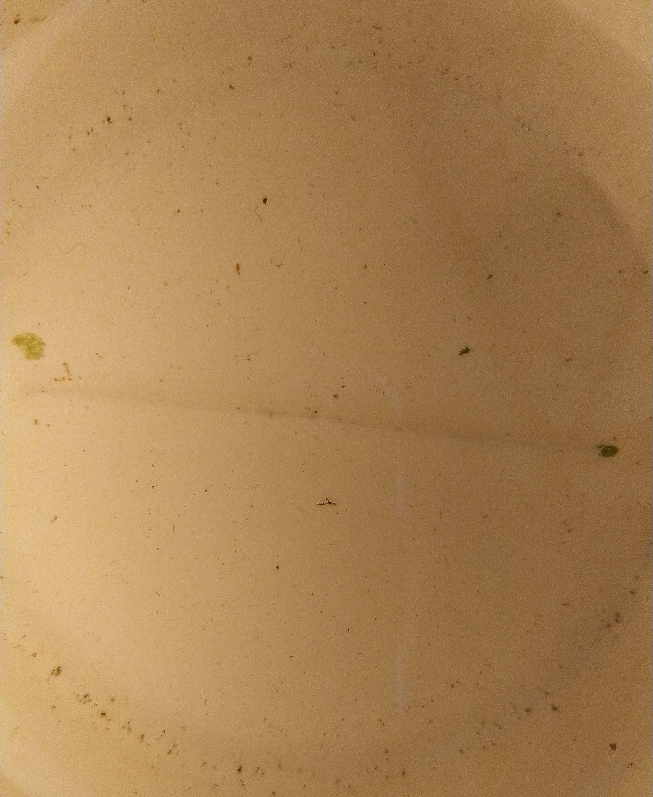 Discolored-water Object Detection Dataset by MADUSHA