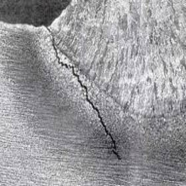 How to Use the Defectos Object Detection API