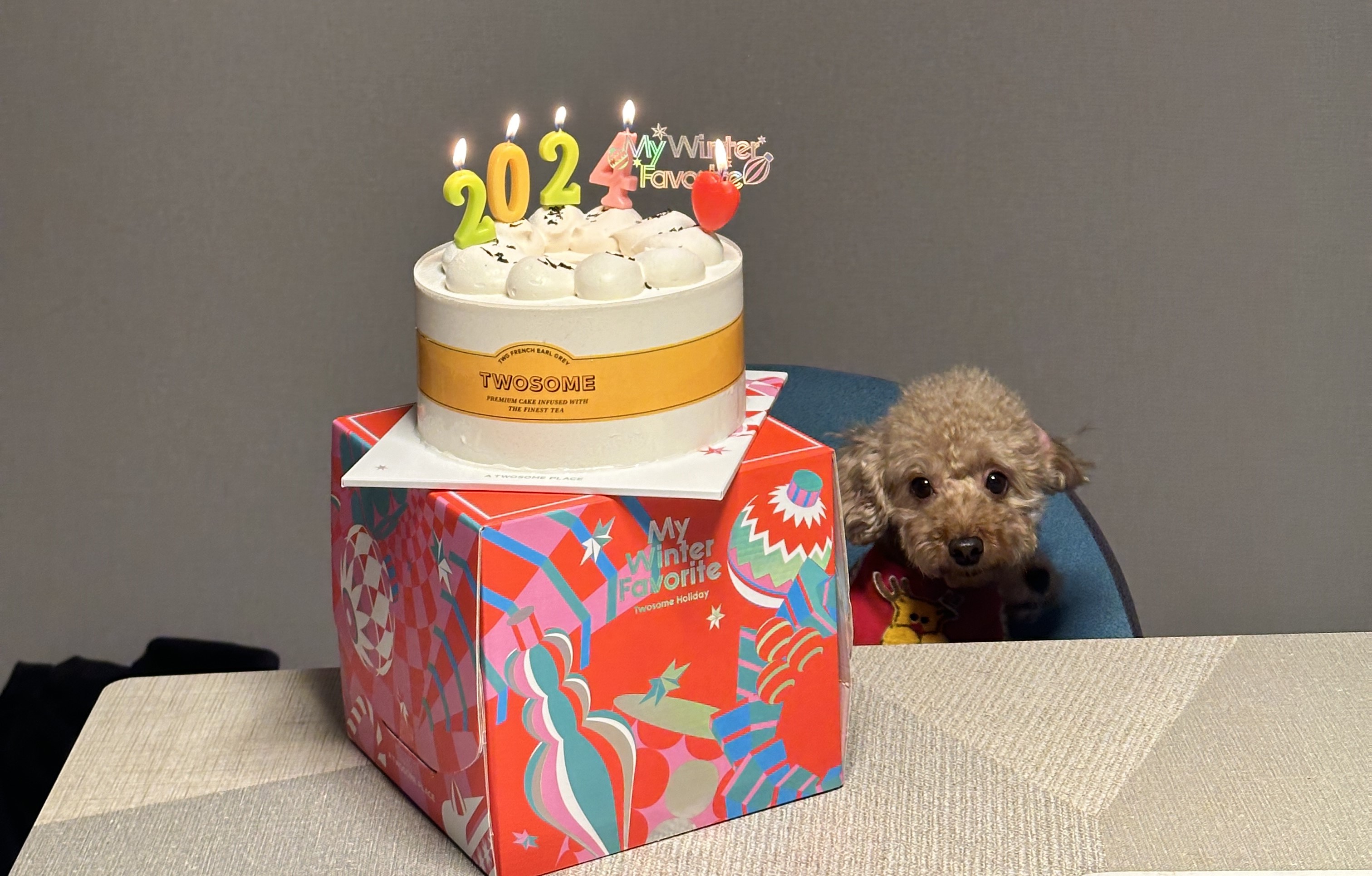 dog_object detection Object Detection Dataset and Pre-Trained Model by Jisu