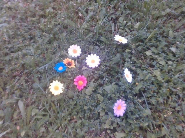 Flower Detection Object Detection Dataset By Flower