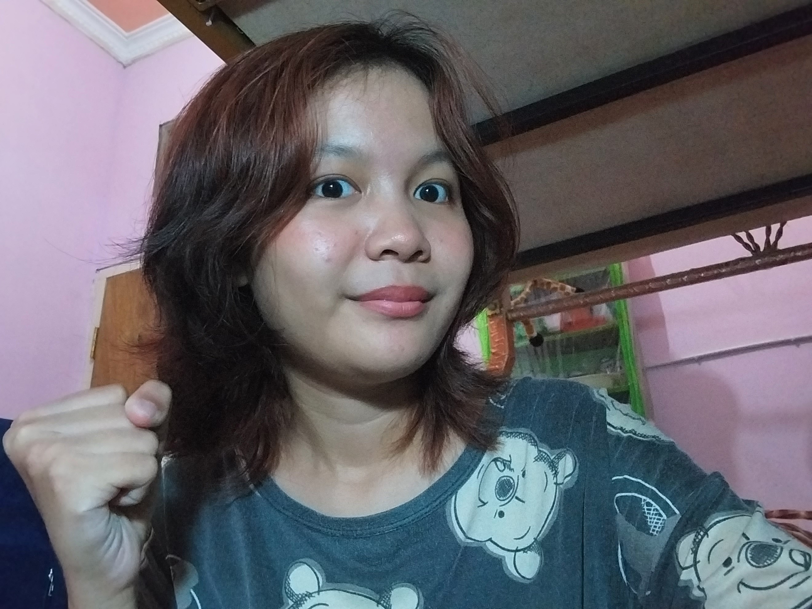 Leanorah - Face Expression Object Detection Dataset by university