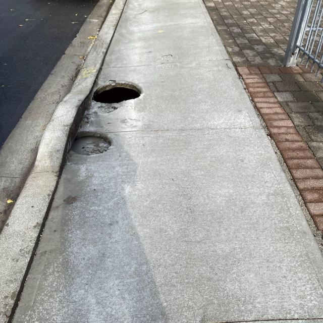 sidewalk Object Detection Dataset by objectdetection