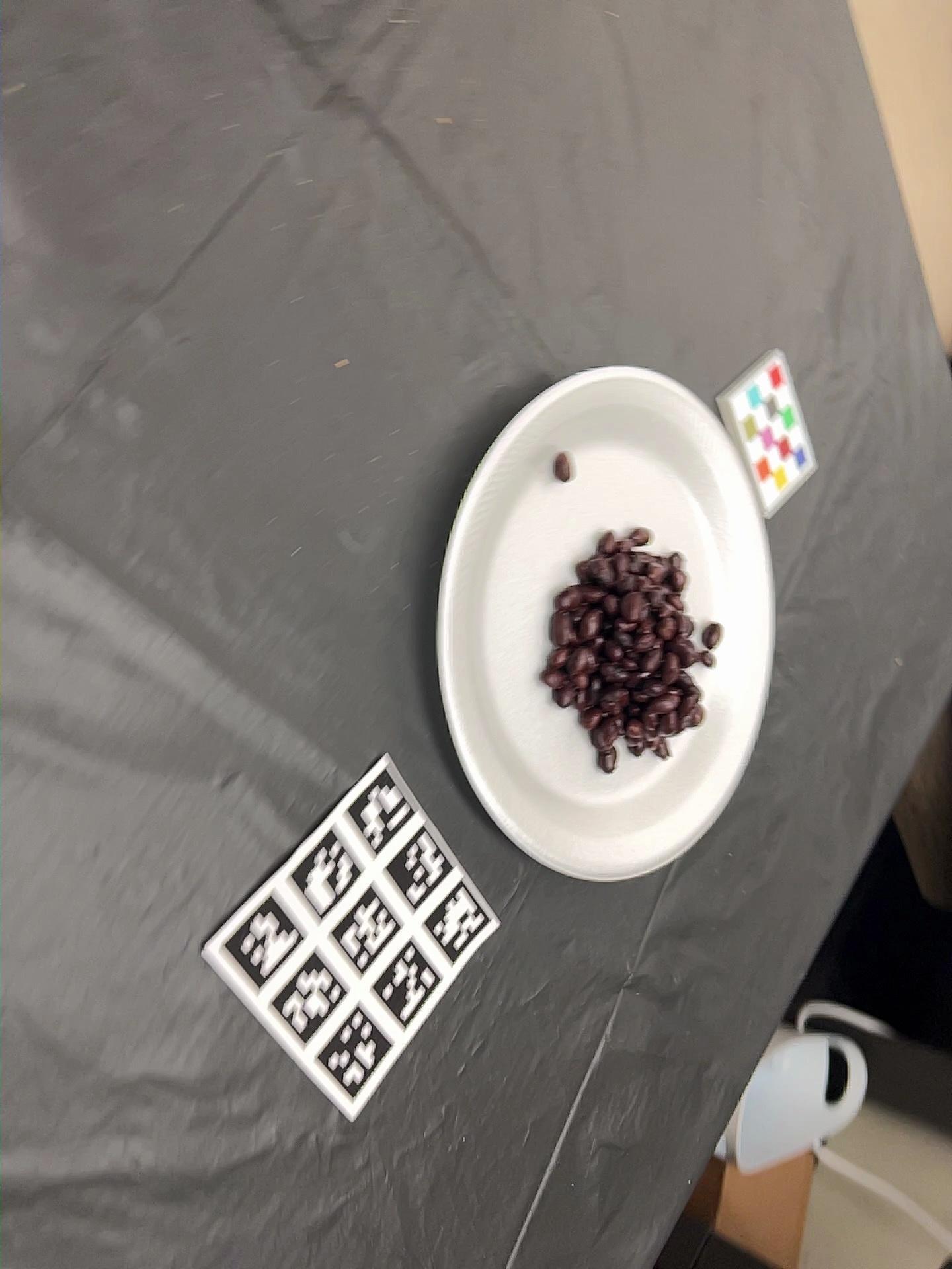 Beans Object Detection Dataset by objectdetection