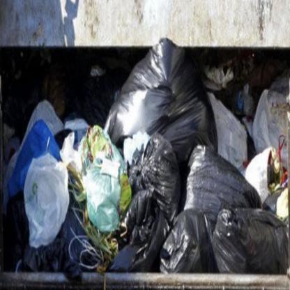 Garbage models Object Detection Model by artiomgoreevyandexru