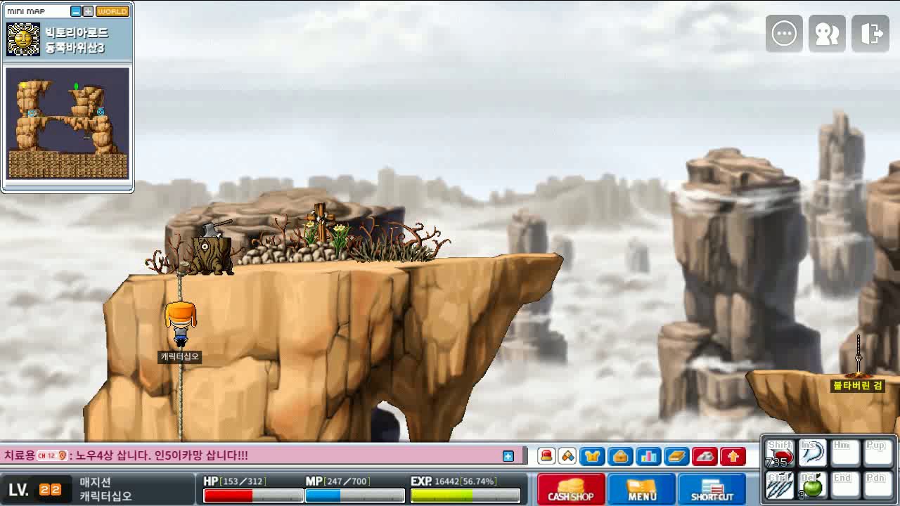 maple Object Detection Model by maple