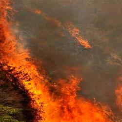 forest-fire-detection Object Detection Model by Ghulam Ishaq Khan Institute