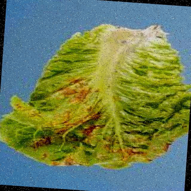 AGRIVISION 2025 Object Detection Dataset by Agrivision 2025