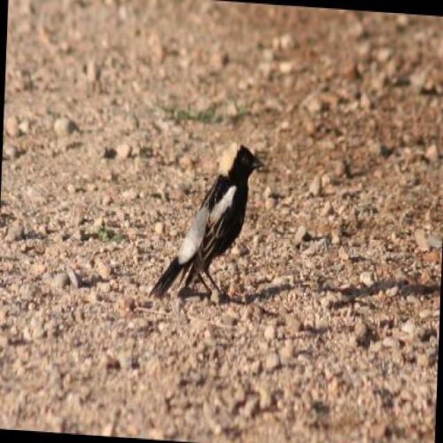 Drone Vs Bird Drone Vs Bird 4idpt Roboflow Universe