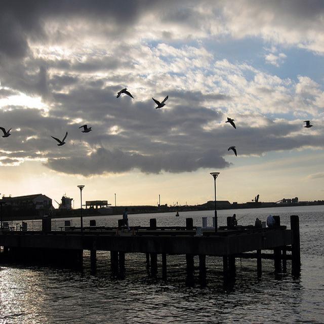 Drone vs Bird 2 Object Detection Dataset by Drone vs Bird