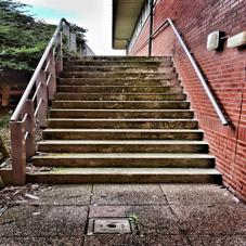 object detection Object Detection Dataset and Pre-Trained Model by helwan university