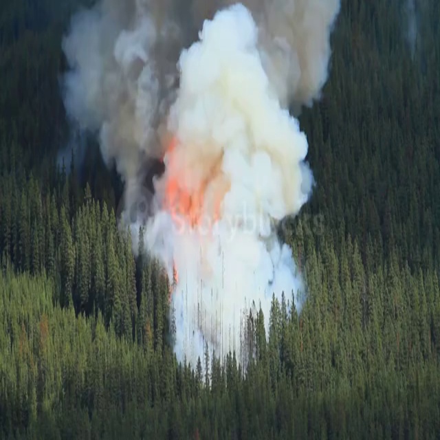 wildfire_v3_model_data Object Detection Model by apurva choudhary