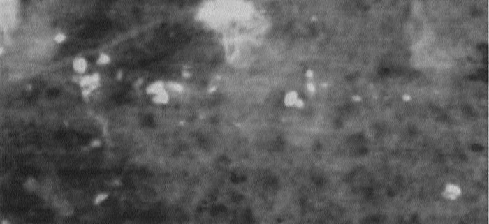 Thermal Uav Human Object Detection Dataset By Arda Am