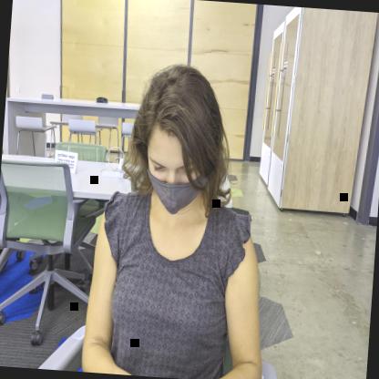 house secure1 Object Detection Model by dave inc