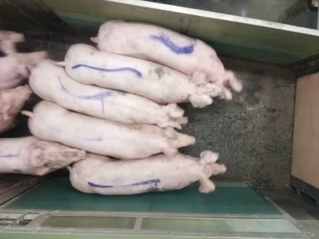 640-door-white-person-pig Object Detection Dataset and Pre-Trained Model by Goat