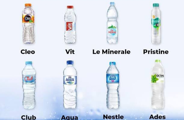 Fallen_leaf Object Detection Dataset by rusdi