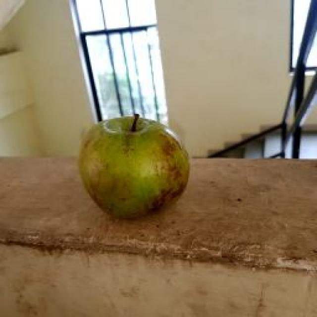 fruit classifi2 Classification Dataset by cccd