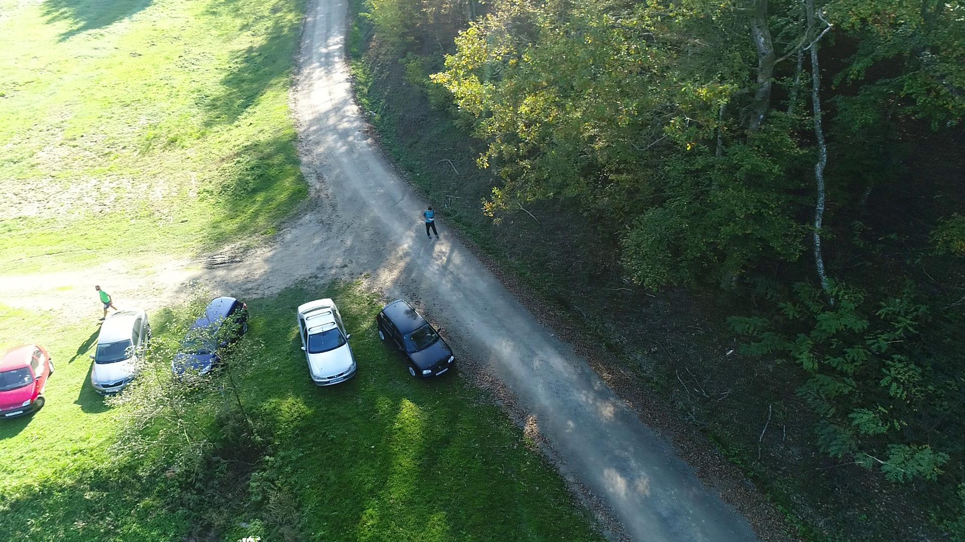 SARD CLASSIFICATION Classification Dataset by Lr02