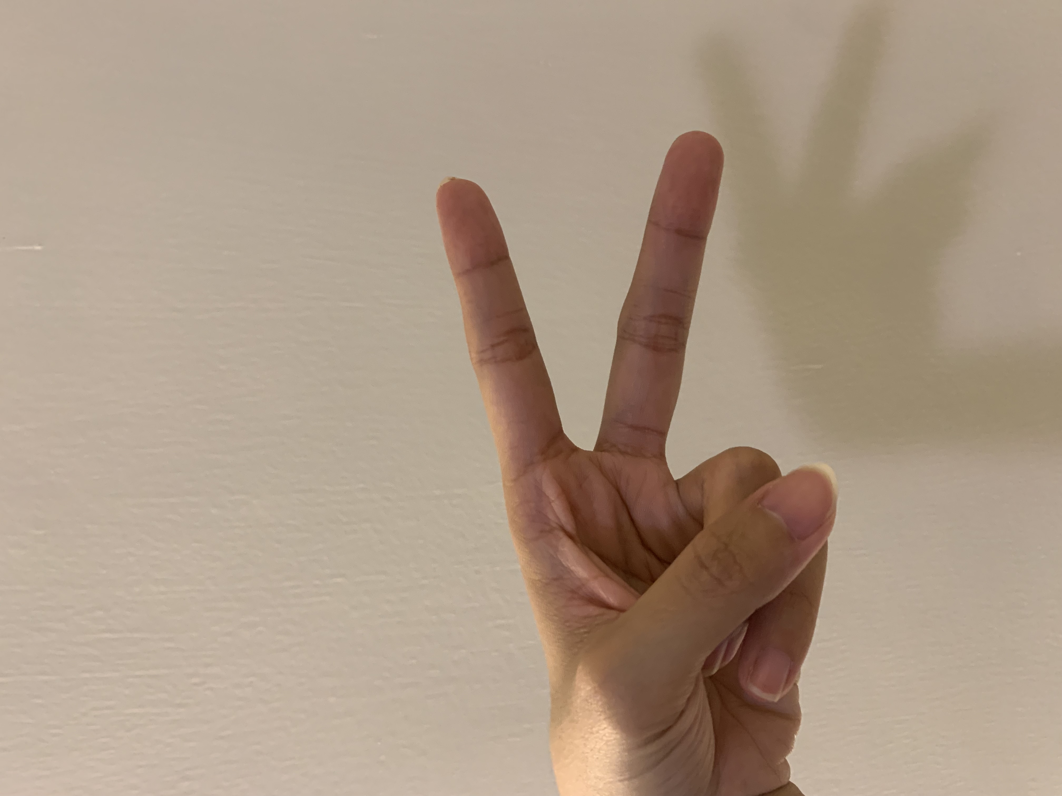 Rock Paper Scissors Object Detection Object Detection Dataset And Pre
