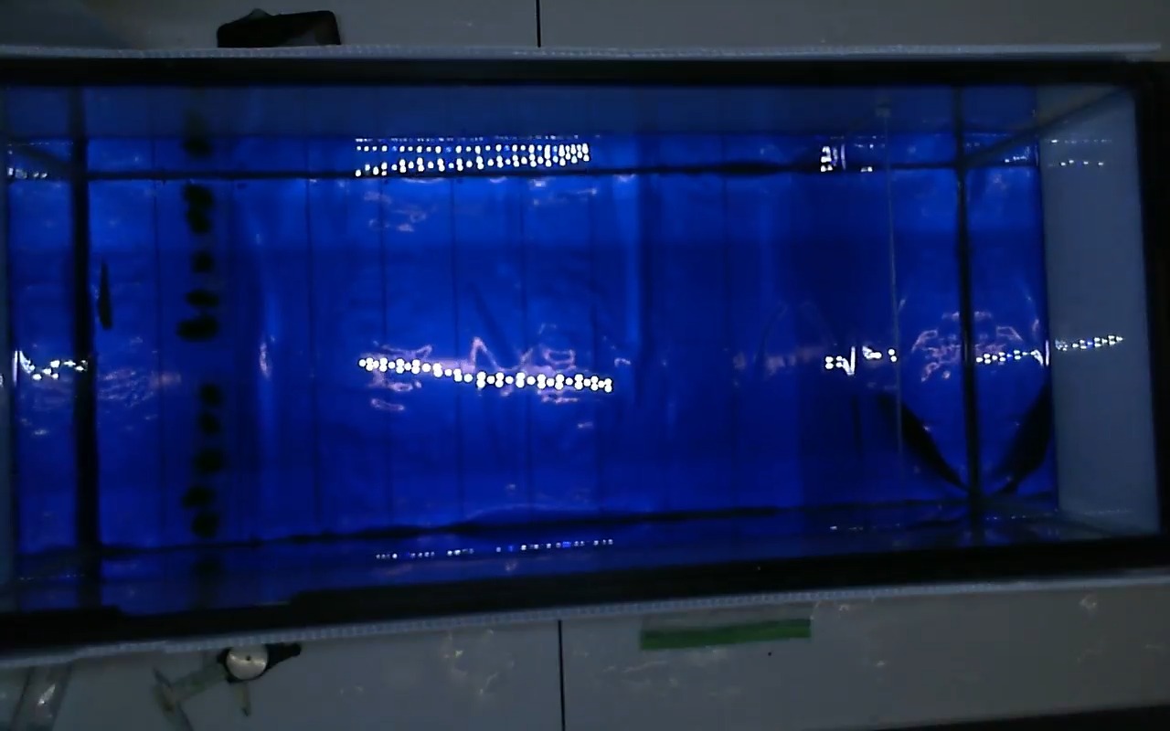 Fish Object Detection Dataset by goats