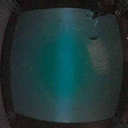 CoBe SCIoI - Roboflow Universe