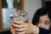 nam da seul - Roboflow Universe