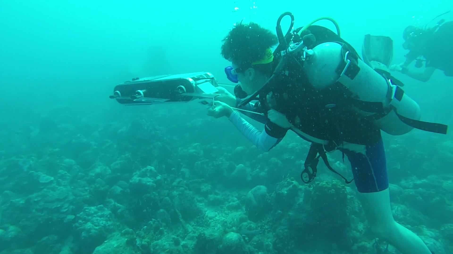 reserch Object Detection Model by divers