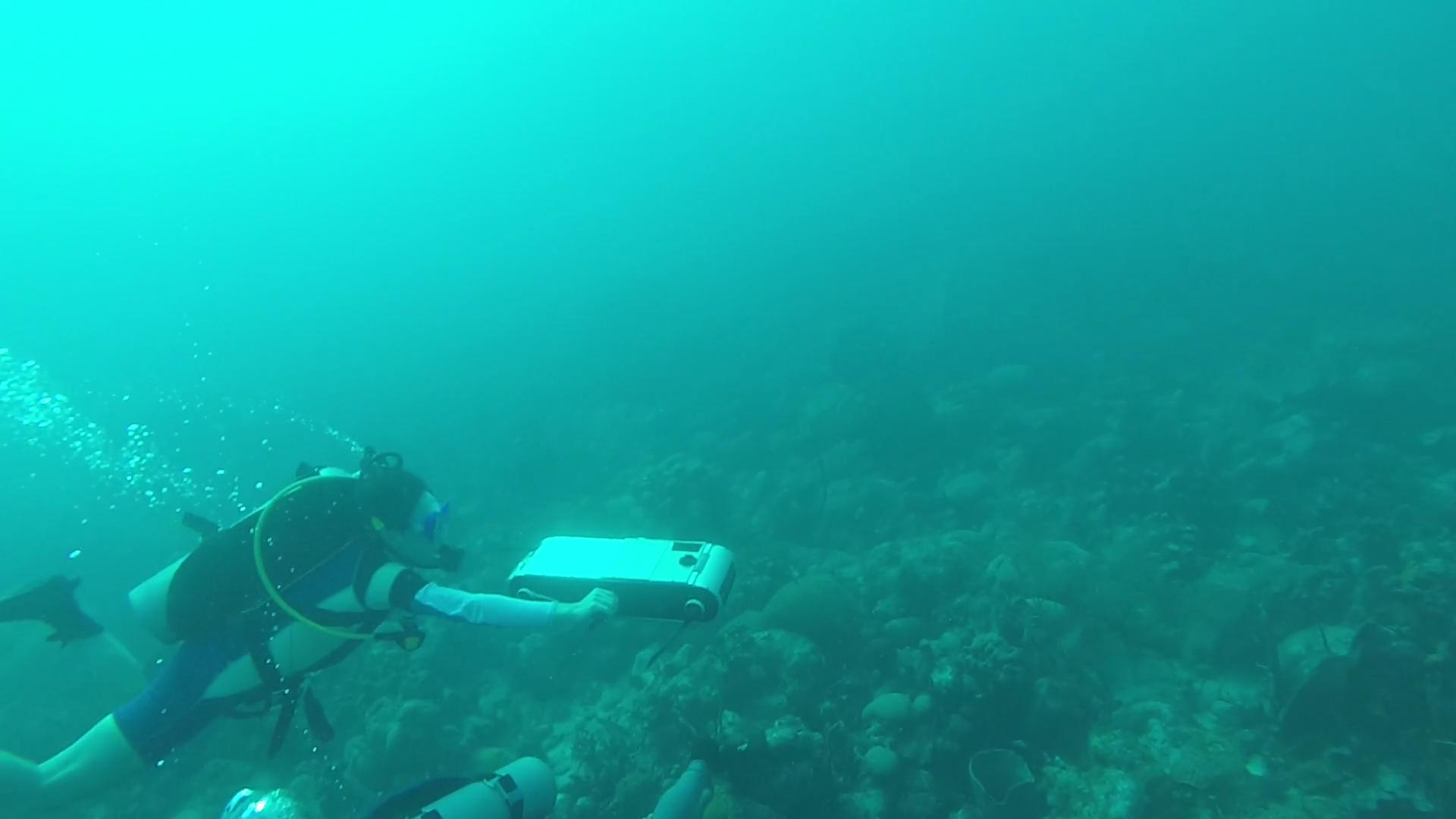 underwater divers Object Detection Model by divers