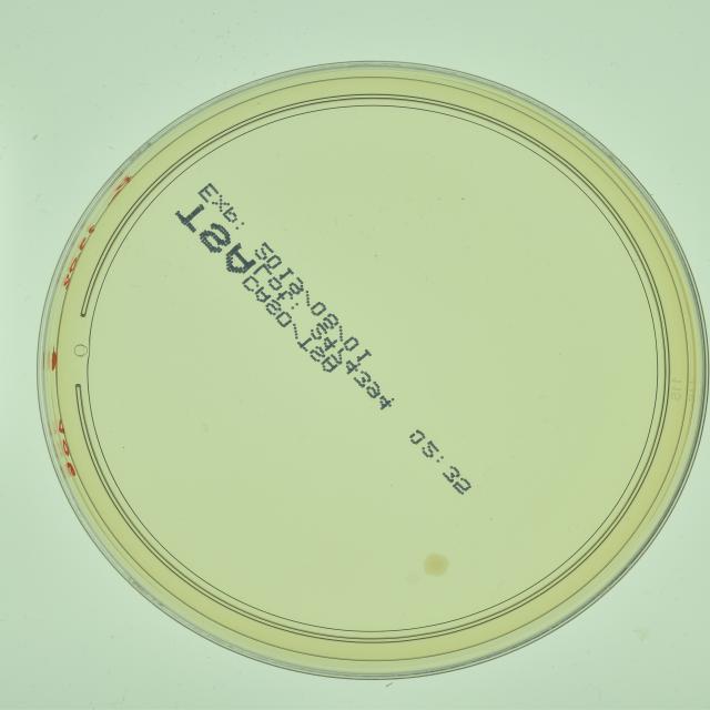 Unitec Unitec Pcdqm Roboflow Universe