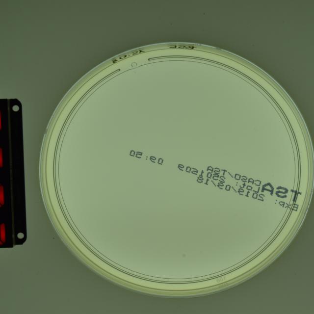 Fase Object Detection Dataset By Unitec