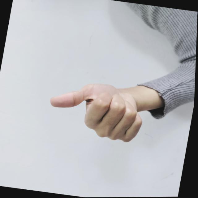 sign language detection Object Detection Model by syed