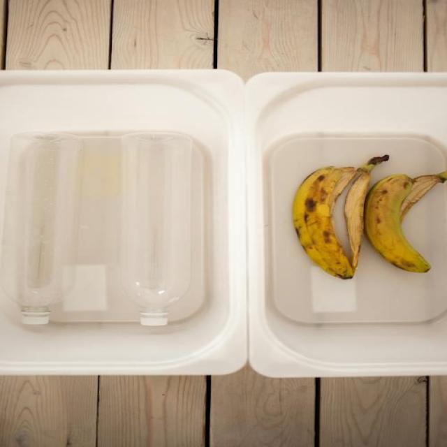 Ggg Object Detection Dataset By Icrl