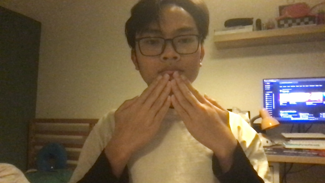 Sign Language Object Detection Model by Sign Language Detection