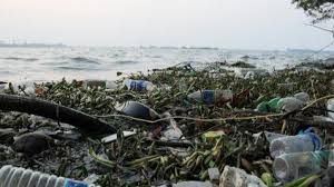 How to Use the Detect And Classify Single-label Classification Classification API