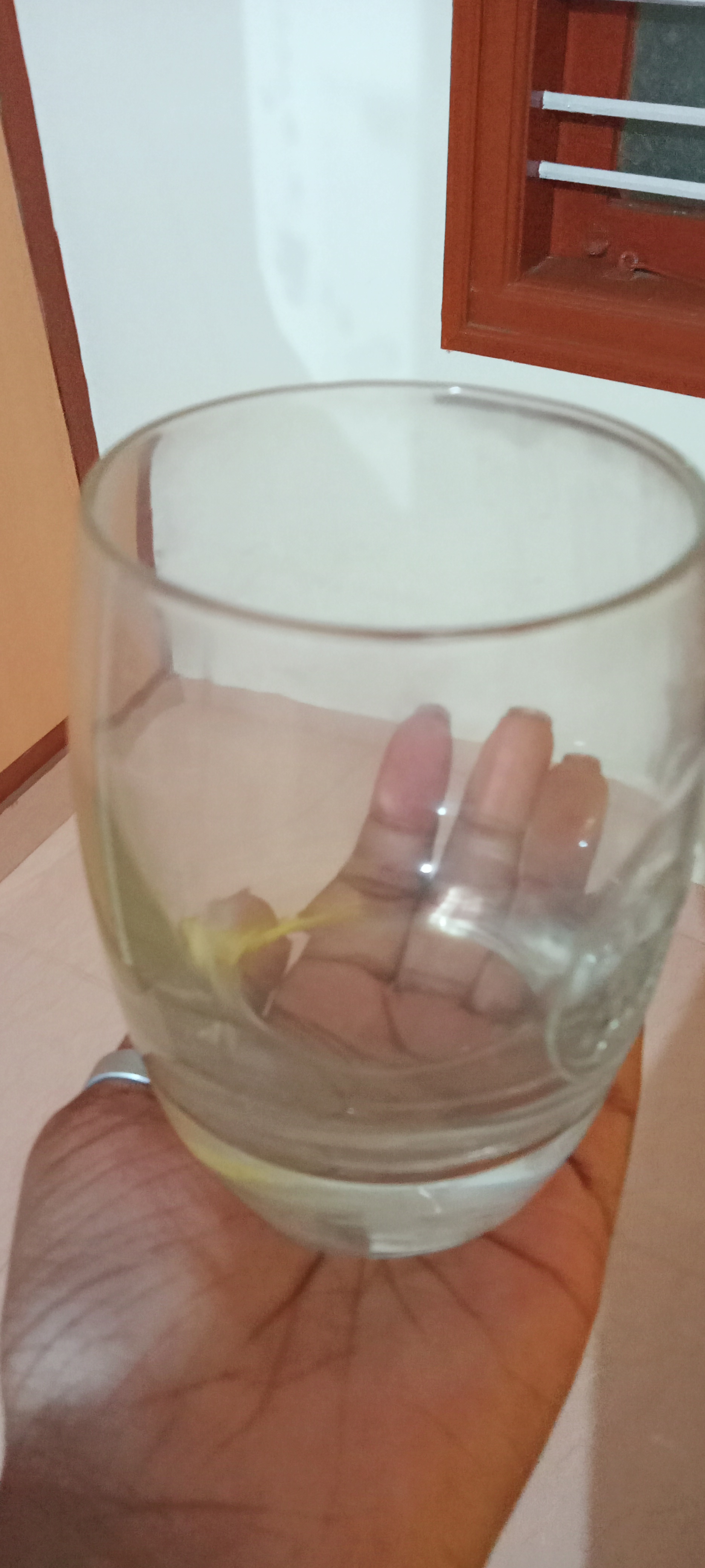 transparent glass Object Detection Dataset by Dataset annotation