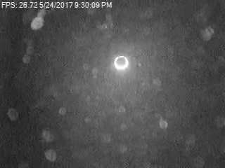 train1 Object Detection Dataset by MLRiverHerring