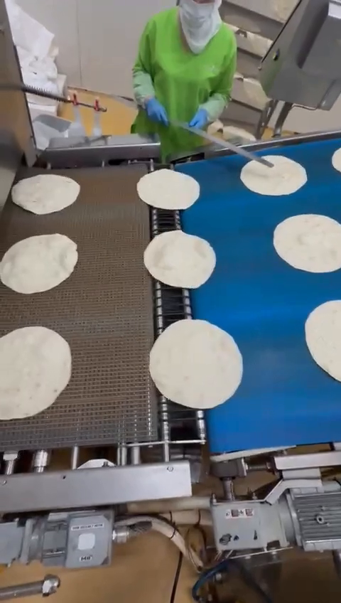 Bread detection proj Instance Segmentation Dataset and Pre-Trained Model by final year project