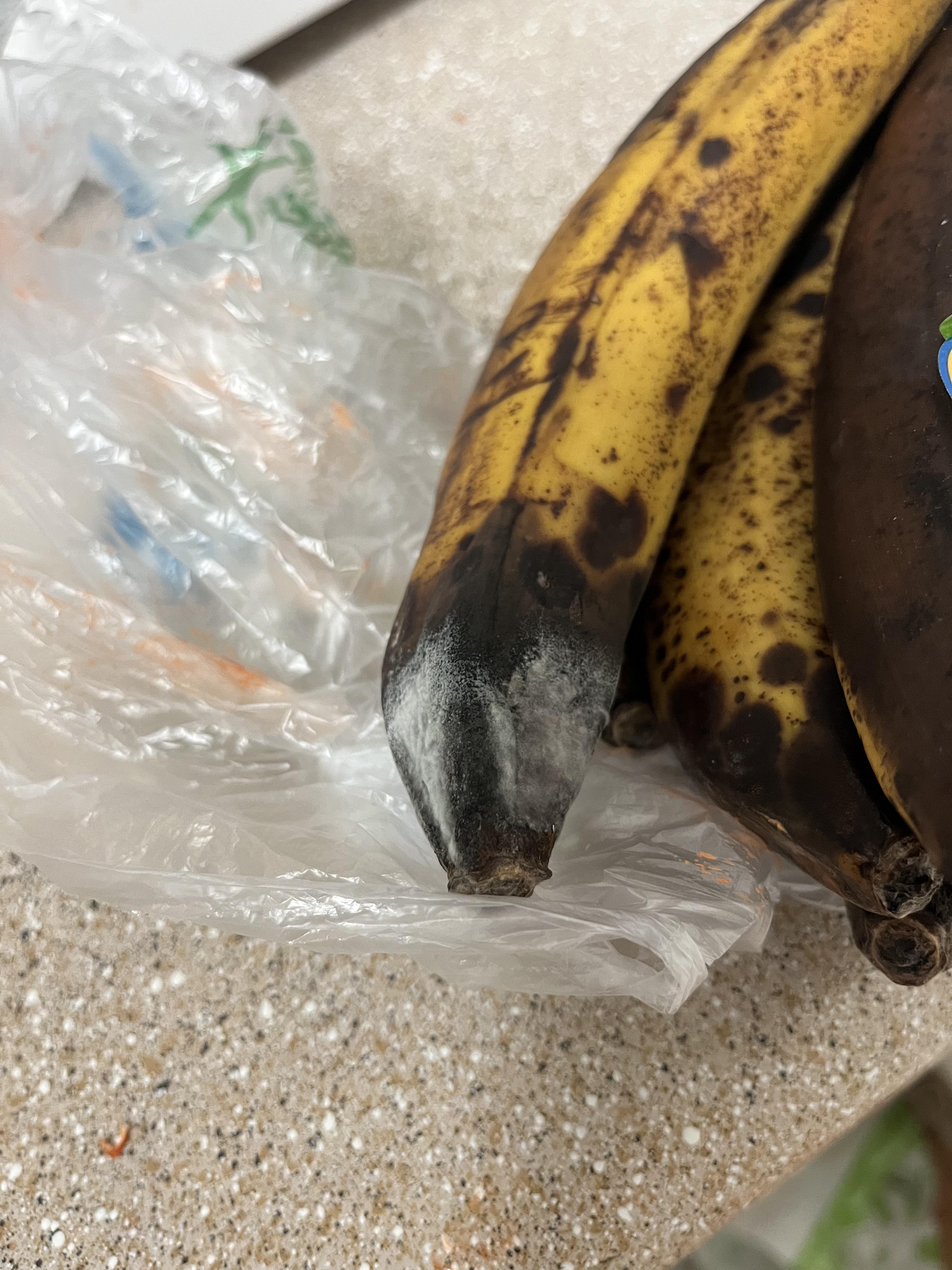 Banana Object Detection Dataset And Pre Trained Model By Banani