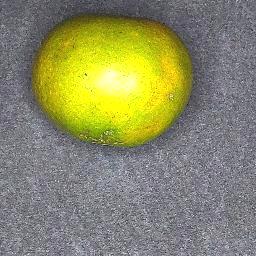 Klasifikasi Jeruk Object Detection Dataset by AfwanHakim