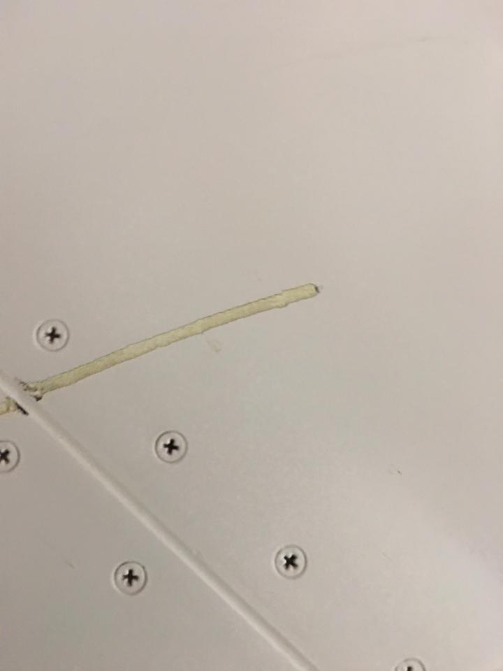 scratch-damage-train Instance Segmentation Dataset by icecream