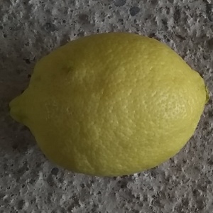 lemon Object Detection Model by lemon