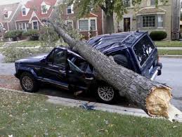 Car-Damage Instance Segmentation Dataset by cardamage